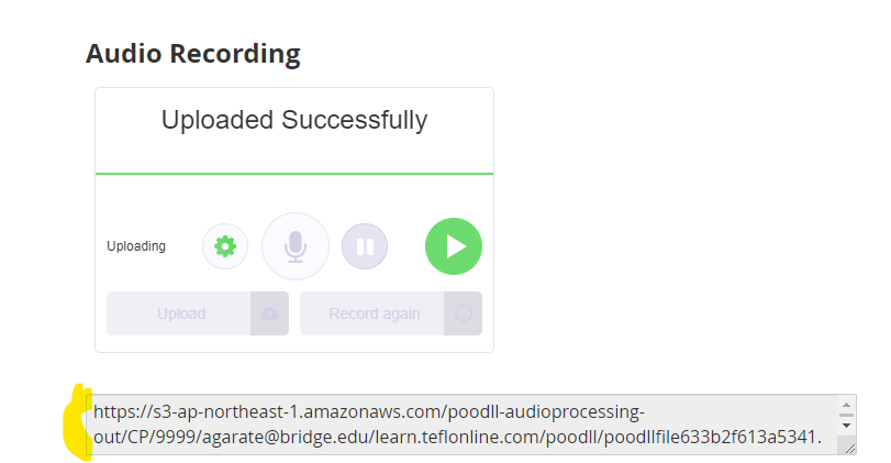 How do I submit audio and video assignments in the LMS?